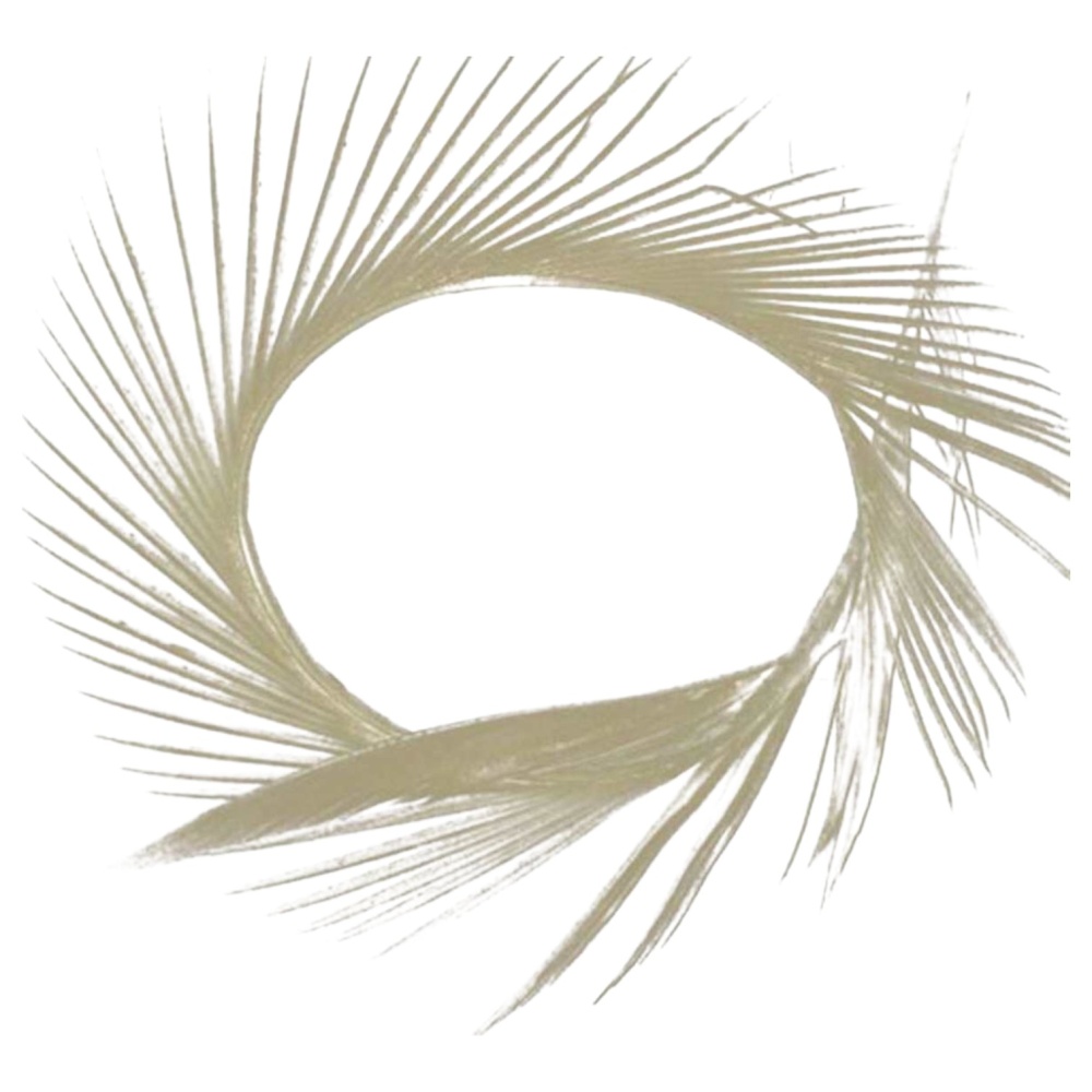 NaturalRangeGooseBiotsNaturalforFlyTyingfromTheEssentialFly